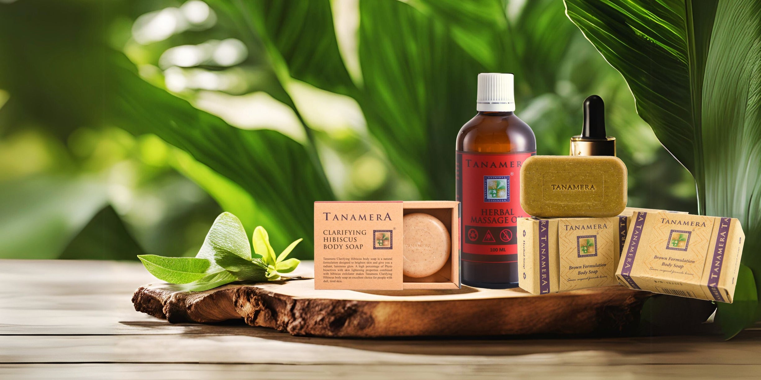 Our Story – Tanamera Official