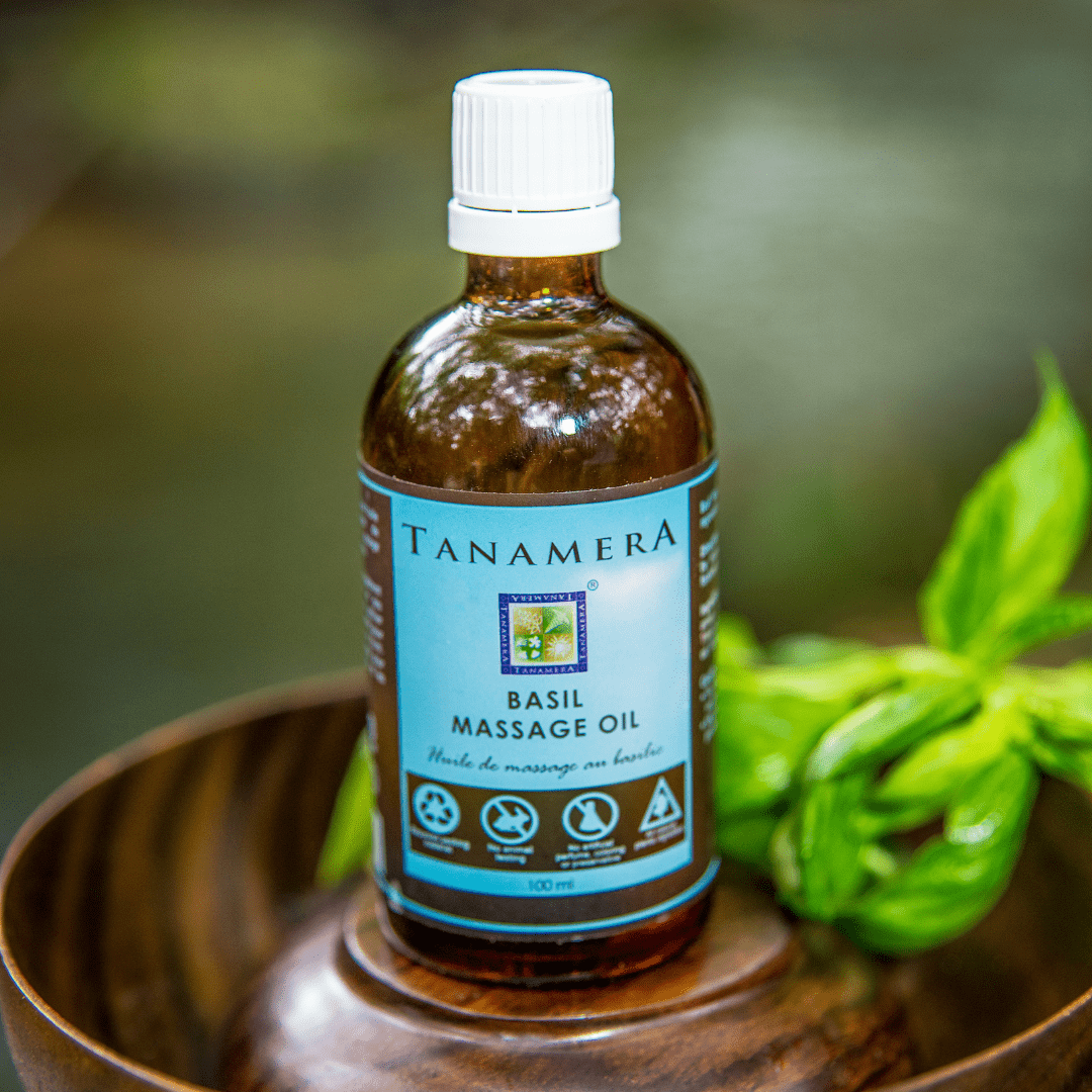 Basil Massage Oil – Tanamera Official